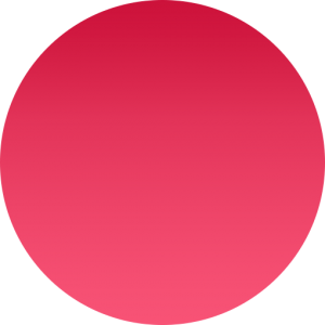 bollo-siliconica - Mesgo